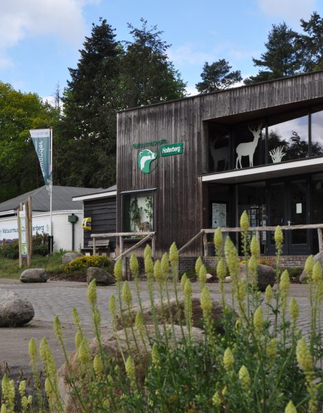 Welkom - Natuurmuseum Holterberg